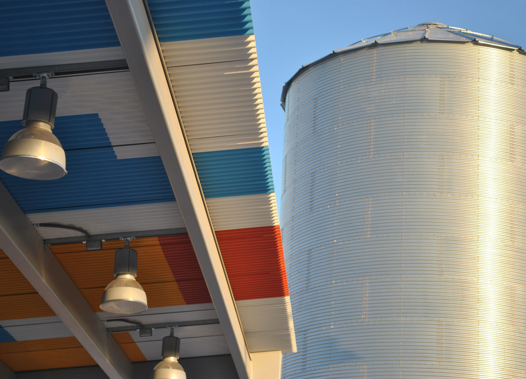 This is My Thing: Buckeye - Serbin Studio